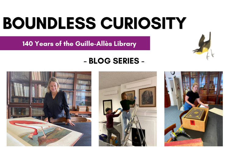 Exhibition Blogs & Media | Guille-Allés Library | Guernsey